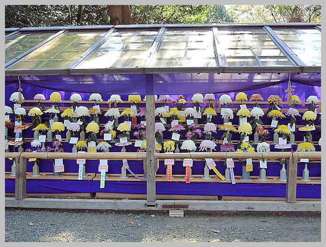 A(500) 雑記/追憶: maechan