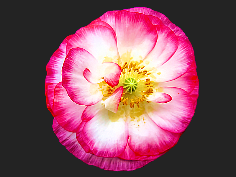 A(1912) 画像お遊び PNG画像集: maechan