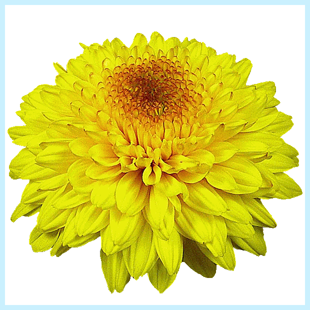 A(615) 画像お遊び: maechan