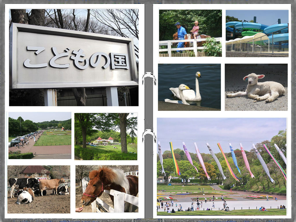 A(696) 画像お遊び: maechan