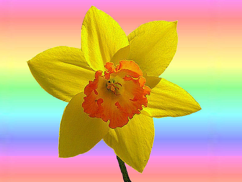 A(725) 画像お遊び: maechan