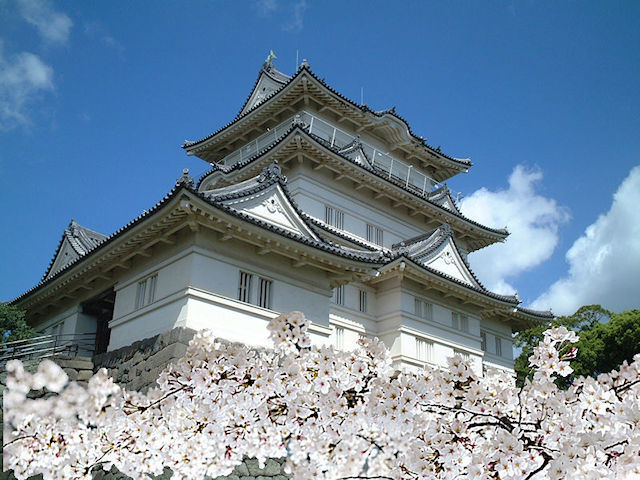 A(777) 画像お遊び: maechan